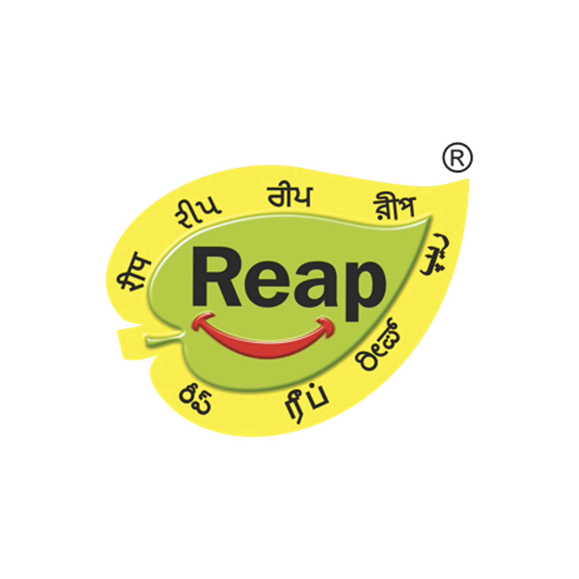 REAP – Samsika Marketing Consultants